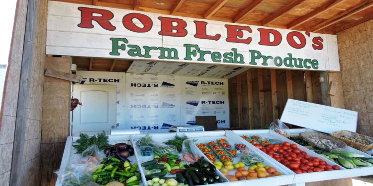 Experience the Fairfield Farmers Market for the Freshest Produce