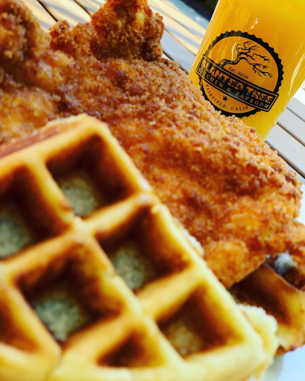 Fairfield Restaurants for Every Taste and Cuisine