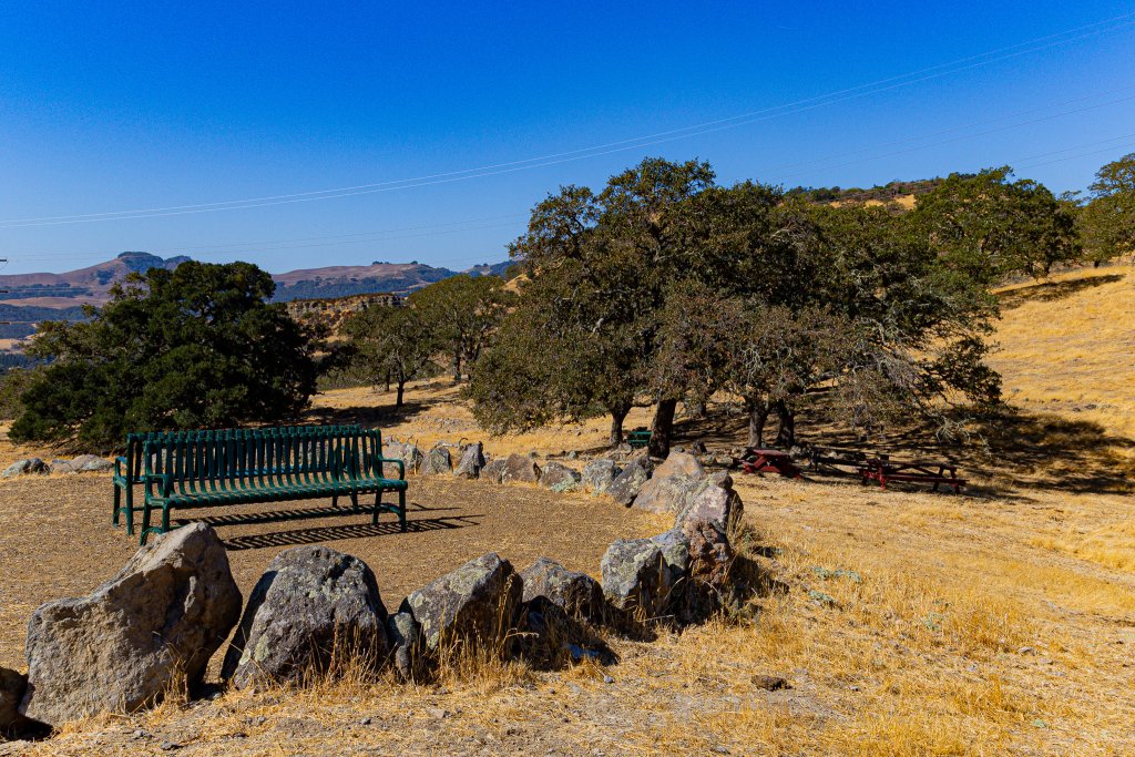 Patwino Worrtla Kodoi Dihi