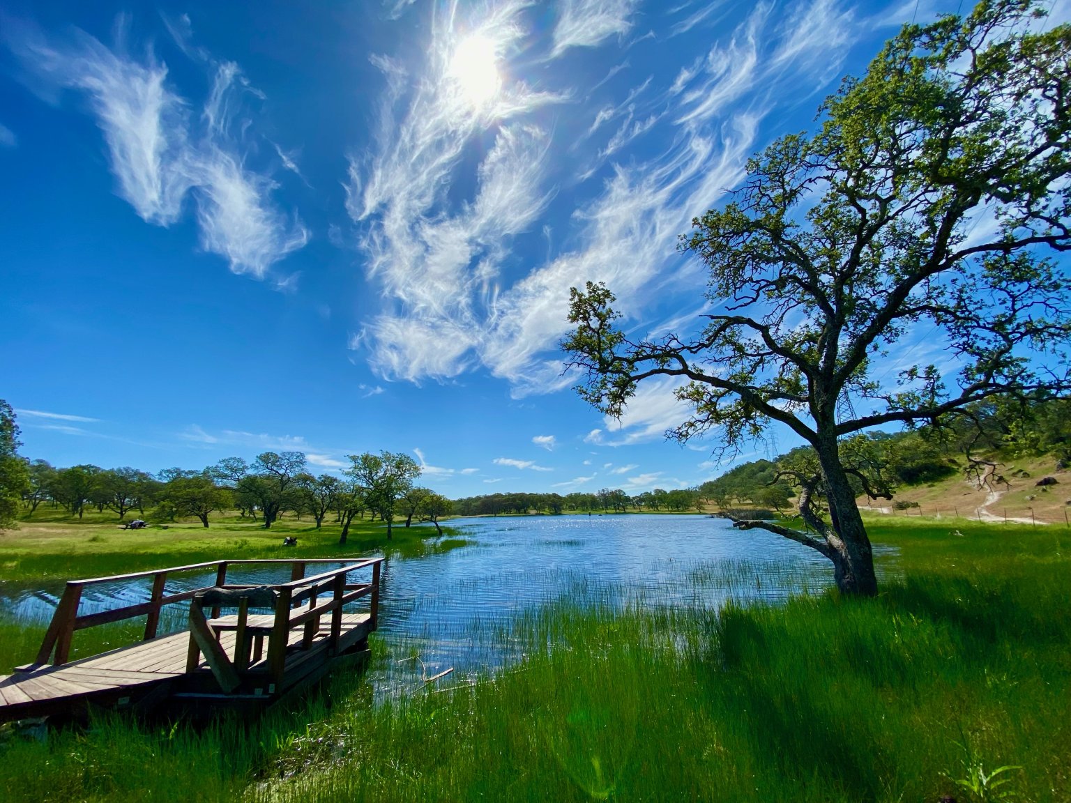 Picnic Spot Ideas in Fairfield, CA | Visit Fairfield