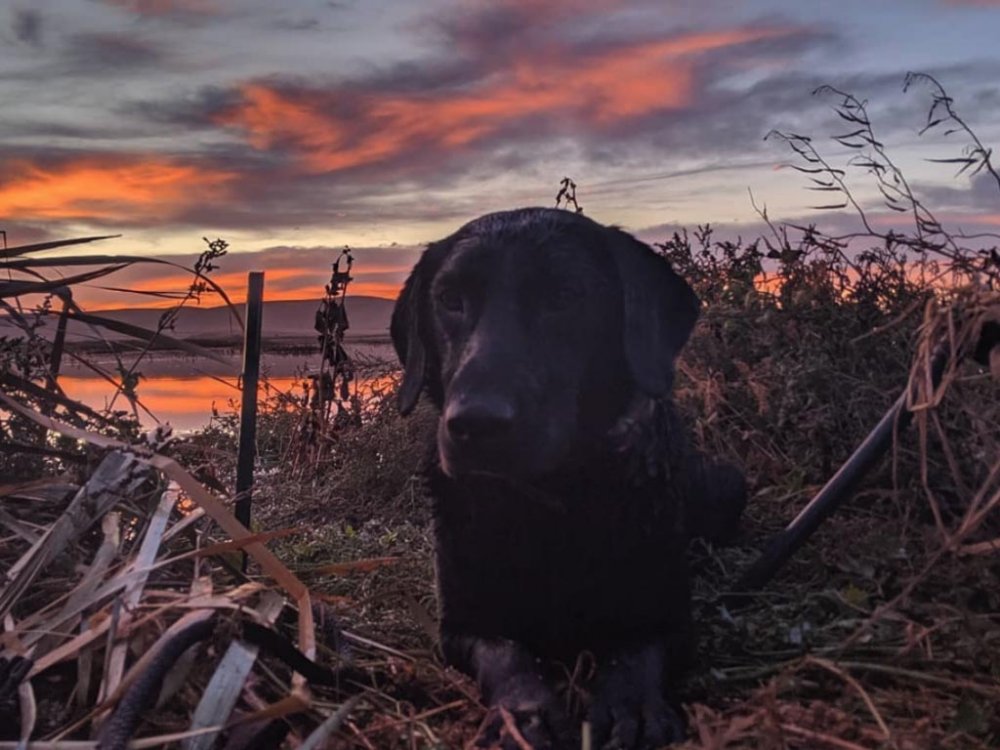 Best Places to See a Sunrise or Sunset in Fairfield | Visit Fairfield