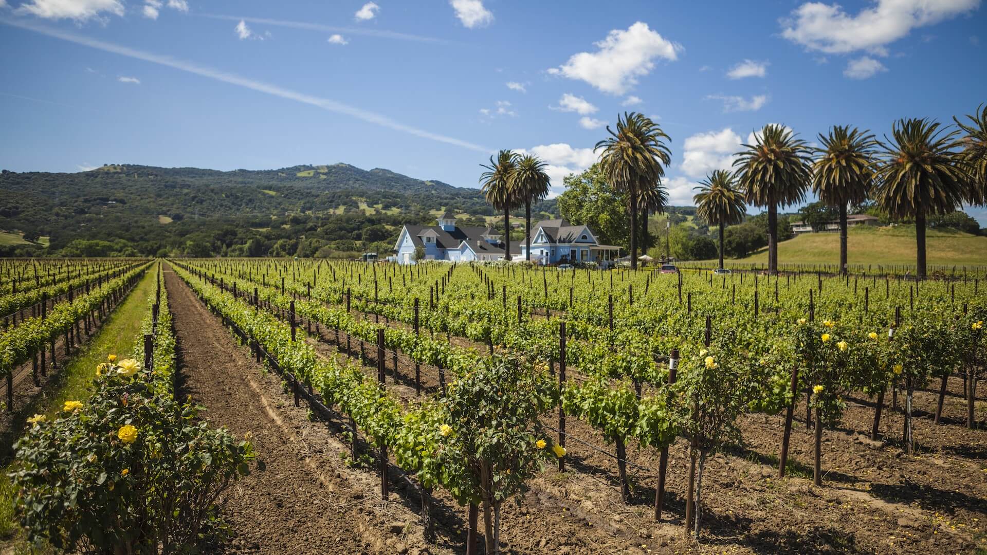 美酒品尝 | Visit Fairfield